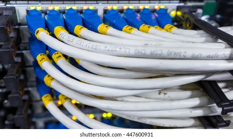 Lan Utp Cable Connect Network Switch Stock Photo (Edit Now) 447600931