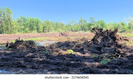 Land Being Cleared Development On Swamp Stock Photo 2174658345 ...