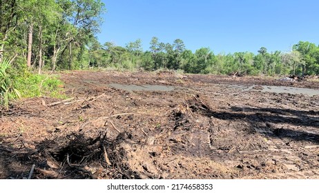 Land Being Cleared Development On Swamp Stock Photo 2174658353 ...
