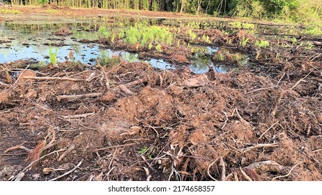 Land Being Cleared Development On Swamp Stock Photo 2174658357 ...