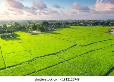 25,766 Farm plots Images, Stock Photos & Vectors | Shutterstock