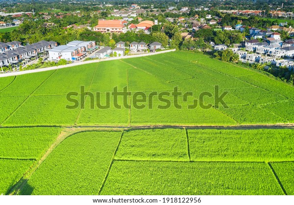 Land Plot Aerial View Include Landscape Stock Photo 1918122956 ...