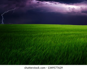 172,609 Dramatic field Images, Stock Photos & Vectors | Shutterstock