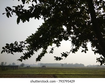 Landscape Fields View Stock Photo 793795429 | Shutterstock