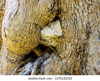 Stock Photo and Image Portfolio by ibrahim0019 | Shutterstock