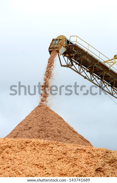 Larch Wood Chip Processing Facility Piling, arkistovalokuva 143741689 ...