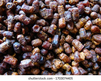 Large Amount Beebread Background Stock Photo 1703074405 | Shutterstock