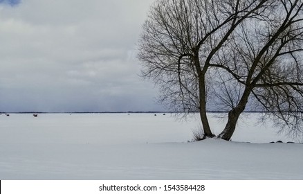 Orillia Images, Stock Photos & Vectors | Shutterstock