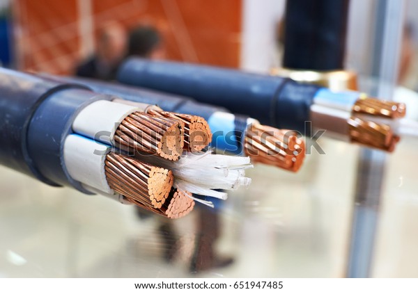 Large Copper Power Cable Section Closeup Stock Photo (Edit Now) 651947485