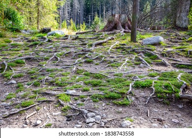 8,016 Drying network Images, Stock Photos & Vectors | Shutterstock