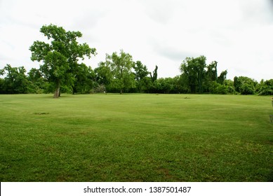 Large Empty Field Grass Stock Photo 1387501487 | Shutterstock
