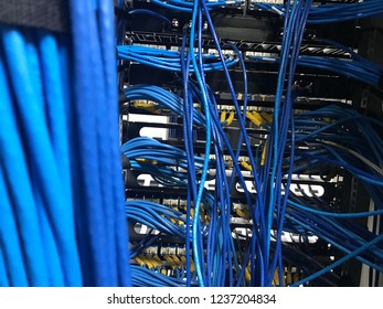 Large Group Utp Cables Ethernet Cables Stock Photo 1237204834 ...