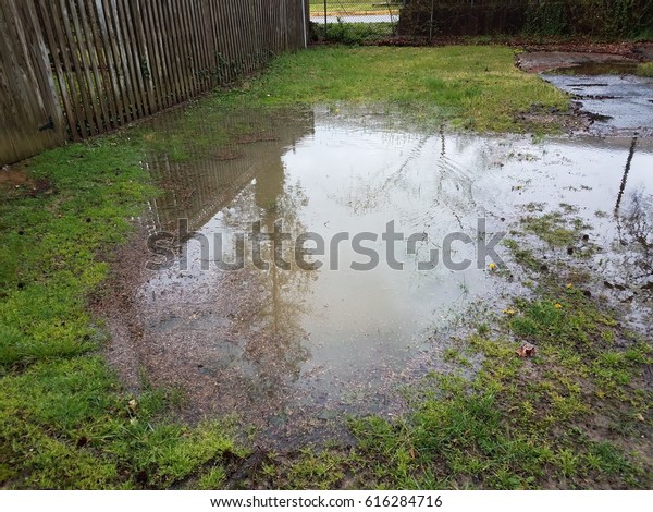 Large Puddle Lawn Stock Photo (Edit Now) 616284716