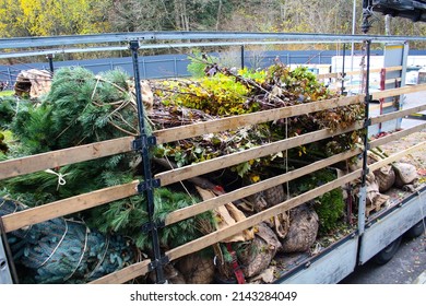 Large Trees Root Balls Ready Planting Stock Photo 2143284049 | Shutterstock