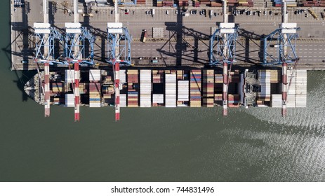 103 Silvanas Images, Stock Photos & Vectors | Shutterstock