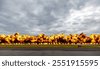357,566 Boom Royalty-Free Images, Stock Photos & Pictures | Shutterstock