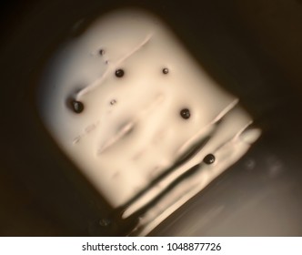 Laser Cut Polymer Under Microscope Stock Photo 1048877726 | Shutterstock