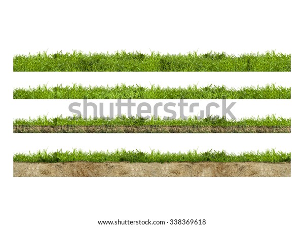 Layers Green Grass Section Soil Isolated Stock Photo (Edit Now) 338369618