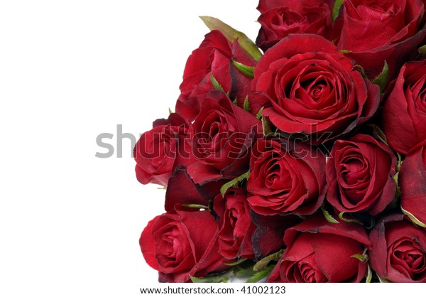 Laying Down Bouquets Roses Stock Photo (Edit Now) 41002123