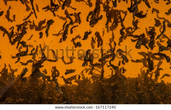 Leaching Tea Stock Photo 167117240 | Shutterstock
