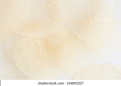 Leaf Abstract Background Stock Photo (Edit Now) 196892321