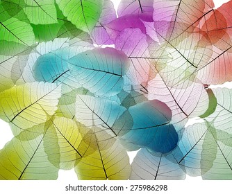 Leaf Color Texture Background Stock Photo 275986298 | Shutterstock