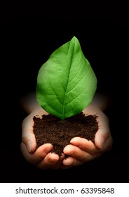 50 Success Tree Showing Roots Images, Stock Photos & Vectors | Shutterstock