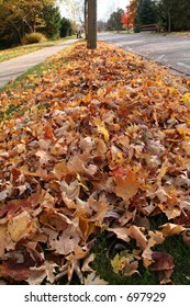 49,331 Leaf Pick Up Images, Stock Photos & Vectors | Shutterstock