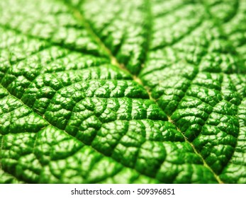 Stock Photo and Image Portfolio by A Light A Glow | Shutterstock