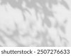 10+ Million Shadows Royalty-Free Images, Stock Photos & Pictures ...