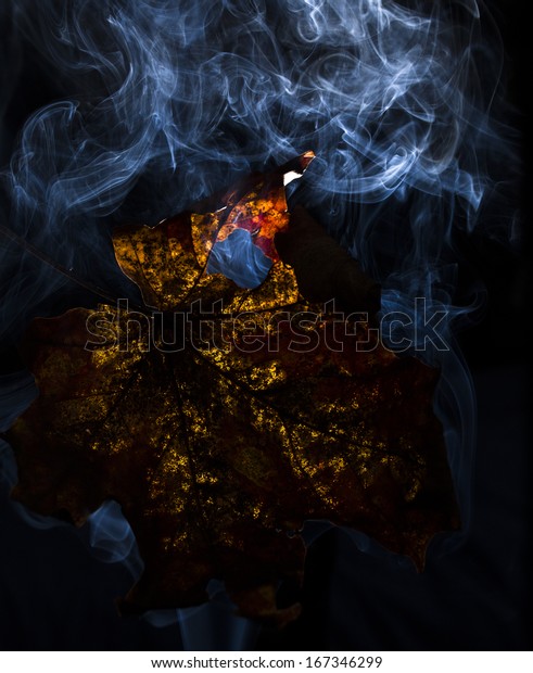 Leaf Smoke Stock Photo 167346299 | Shutterstock
