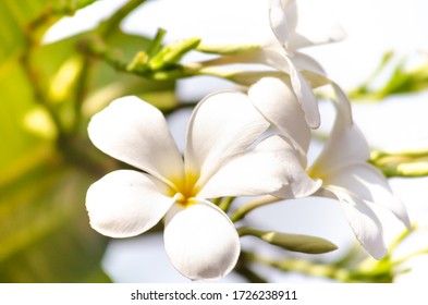 idearstudio: портфолио стоковых фотографий и изображений | Shutterstock