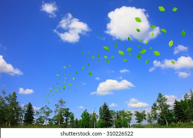 19,576 Wind blowing leaves Images, Stock Photos & Vectors | Shutterstock