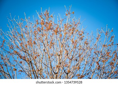 Hibernation Images, Stock Photos & Vectors | Shutterstock