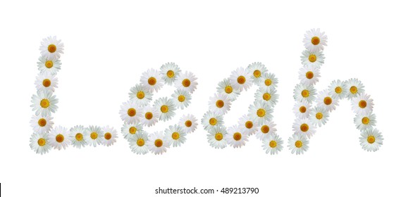 55 Lea Name Images, Stock Photos & Vectors | Shutterstock