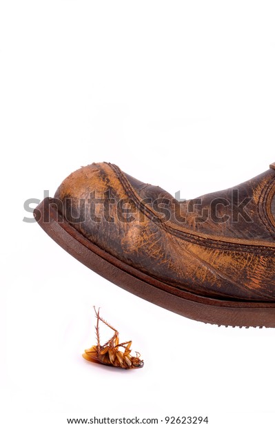 Leather Boot Ready Trample Cockroach Stock Photo (Edit Now) 92623294