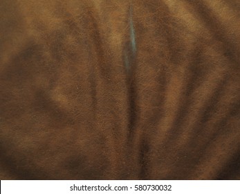 3,662 Tan suede texture Images, Stock Photos & Vectors | Shutterstock