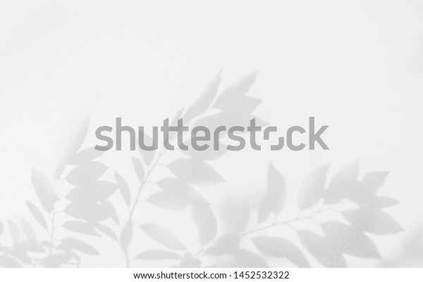 Leaves Shadow Pattern On White Concrete Stock Photo 1452532322 ...