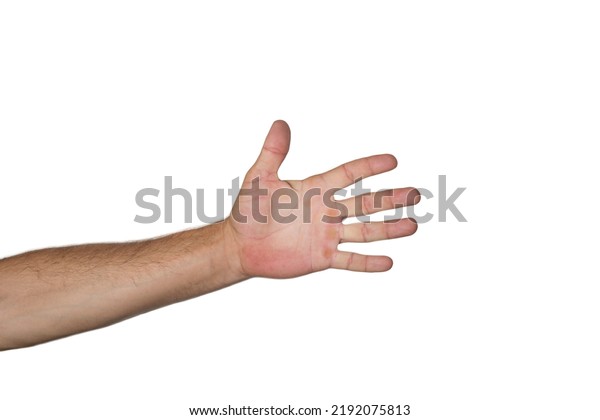Left Palm Hand Showing Five Fingers Stock Photo 2192075813 | Shutterstock