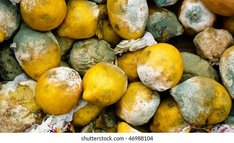 3,006 Rotten lemons Images, Stock Photos & Vectors | Shutterstock