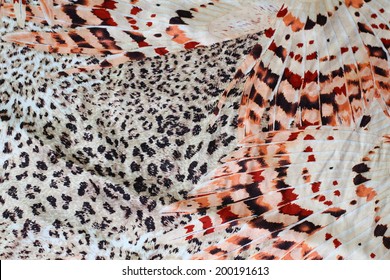 13,445 Lion skin pattern Images, Stock Photos & Vectors | Shutterstock