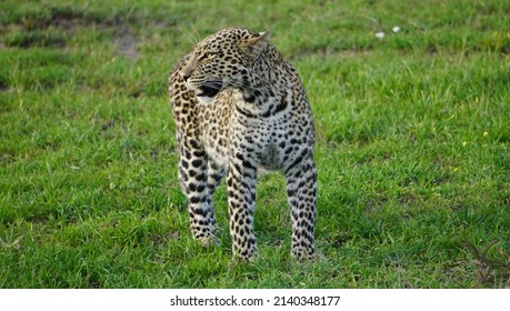 Stock Photo and Image Portfolio by steve bushman | Shutterstock