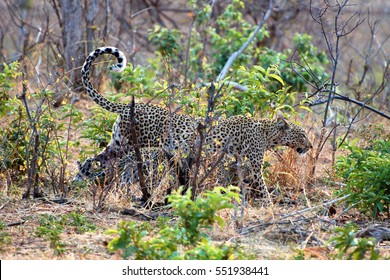 76 Baby dik Images, Stock Photos & Vectors | Shutterstock