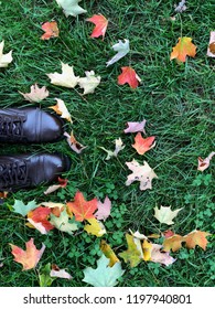 Let Fall Stock Photo 1197940801 | Shutterstock