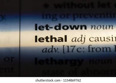 Lethal Word Dictionary Lethal Concept Stock Photo 1154869762 | Shutterstock