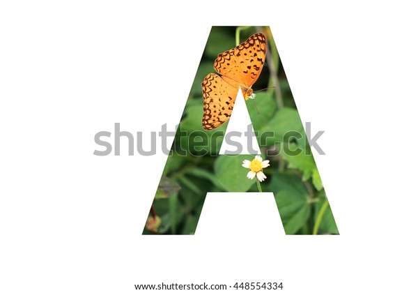 Letter Butterfly Background Inside Stock Photo 448554334 | Shutterstock