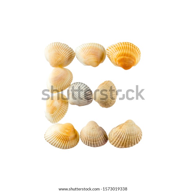 Letter E Composed Seashells Isolated On Stock Photo 1573019338 ...