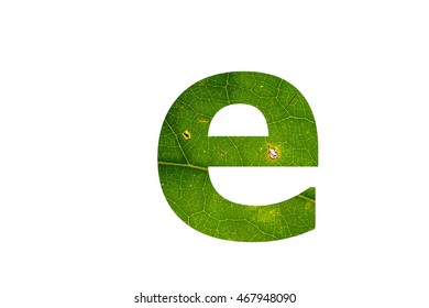 Letter E Green Leaf Surface Texture Stock Photo 467948090 | Shutterstock