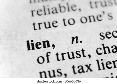 Lien Images, Stock Photos & Vectors | Shutterstock