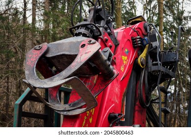 461 Log jaw Images, Stock Photos & Vectors | Shutterstock